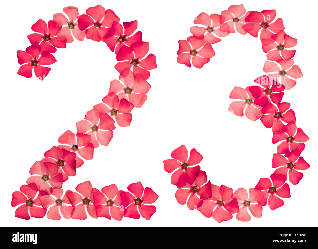 Numeral 23, twenty three, from natural red flowers of periwinkle ...