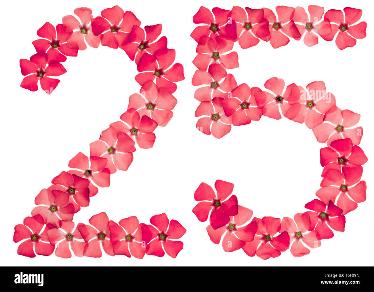 Numeral 25, twenty five, from natural red flowers of periwinkle ...