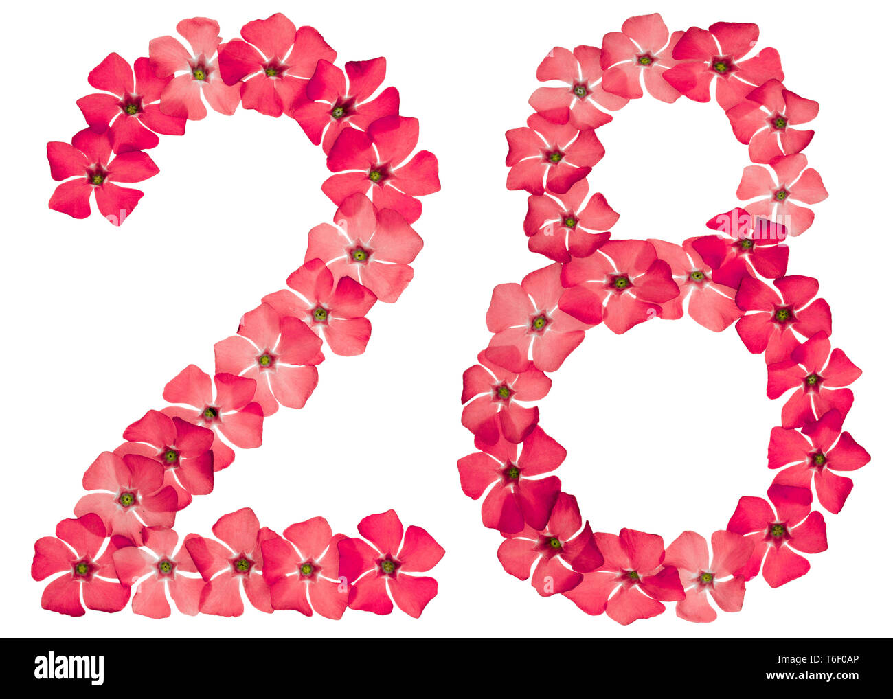 Numeral 28, twenty eight, from natural red flowers of periwinkle ...