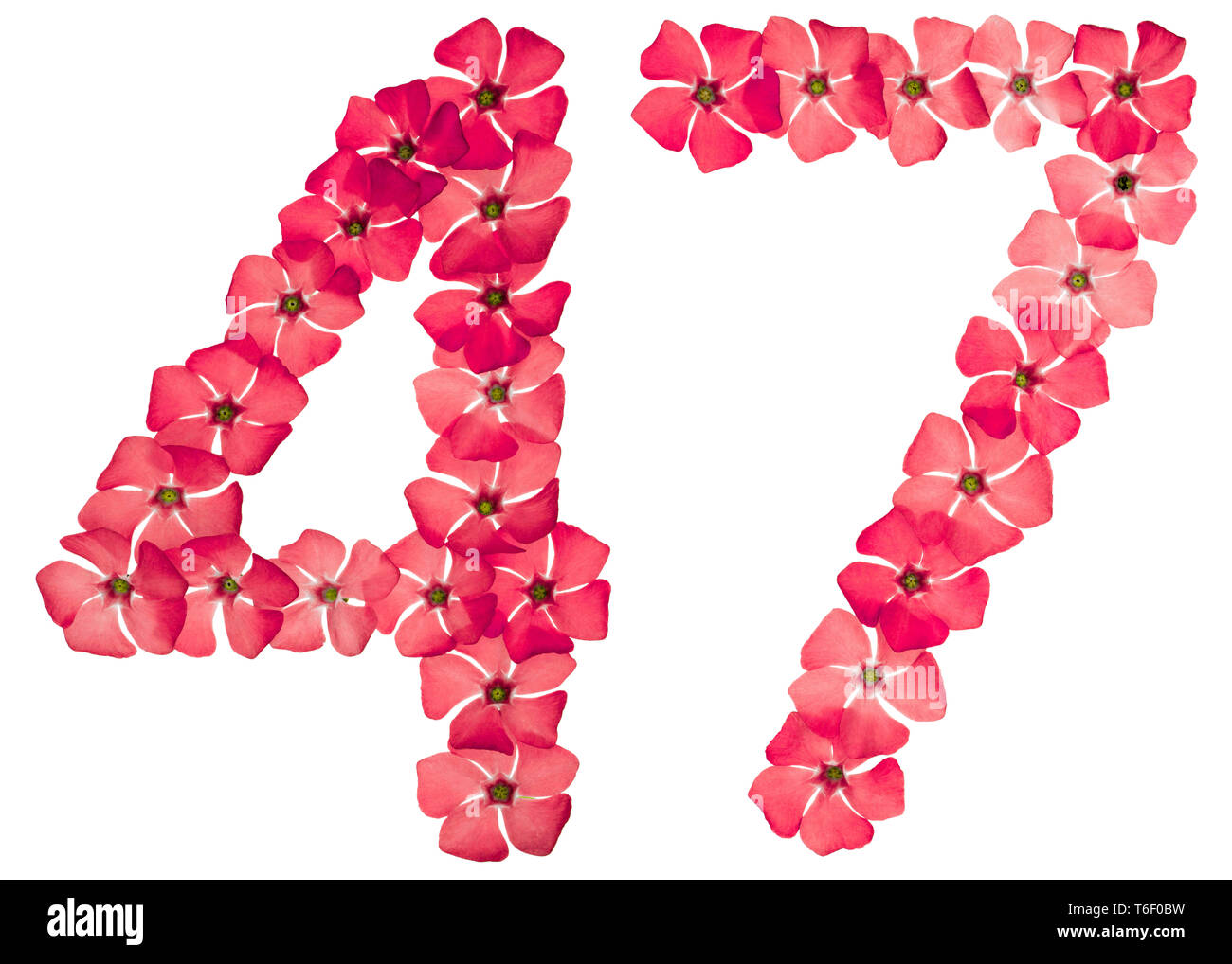 Numeral 47, forty seven, from natural red flowers of periwinkle ...
