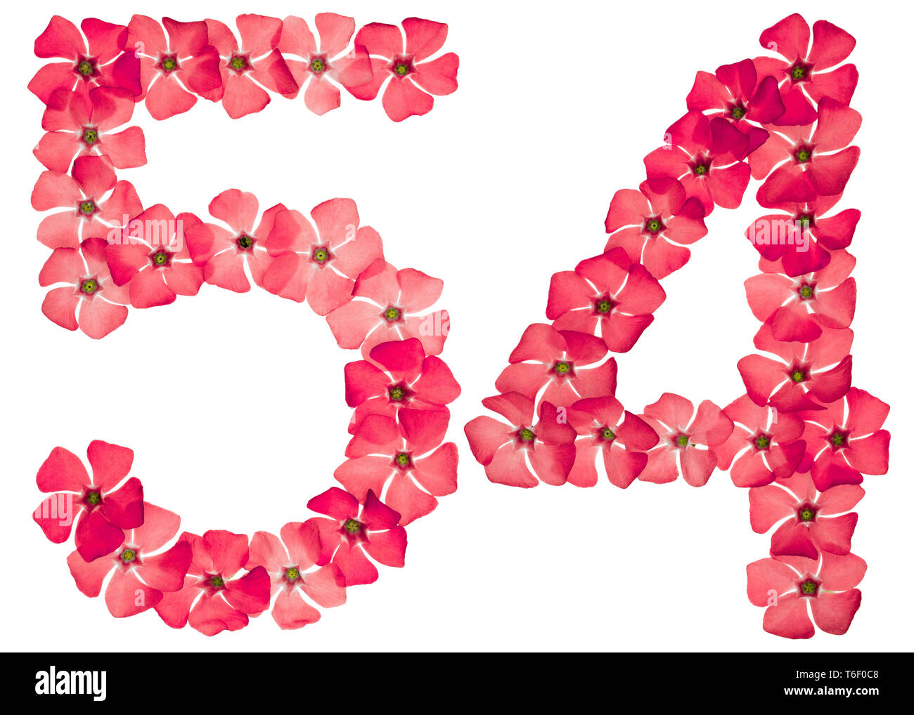 Numeral 54, fifty four, from natural red flowers of periwinkle ...