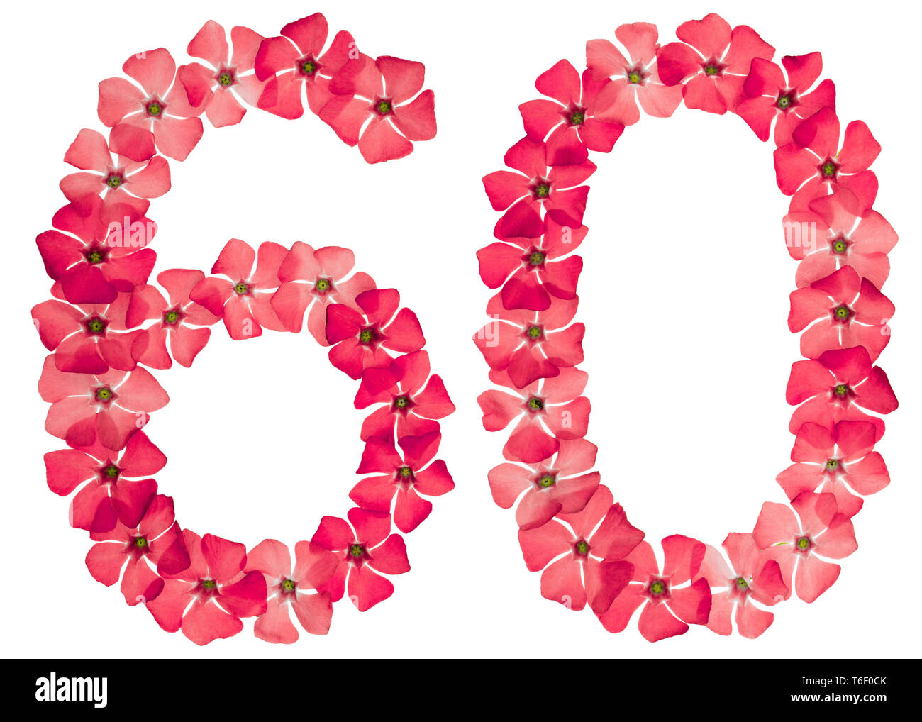 Numeral 60, sixty, from natural red flowers of periwinkle, isolated on ...