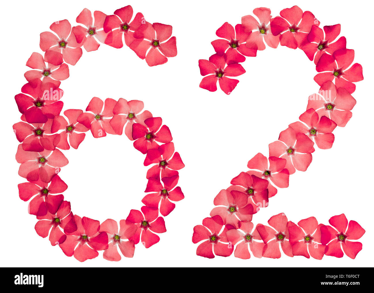 Numeral 62, sixty two, from natural red flowers of periwinkle, isolated ...