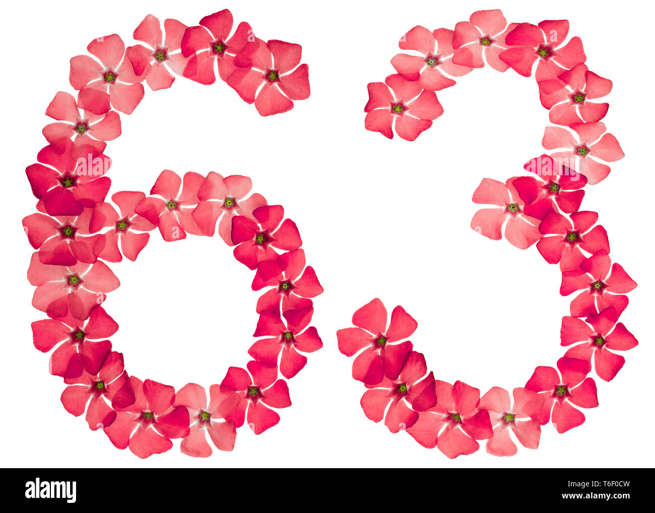 Numeral 63, sixty three, from natural red flowers of periwinkle ...