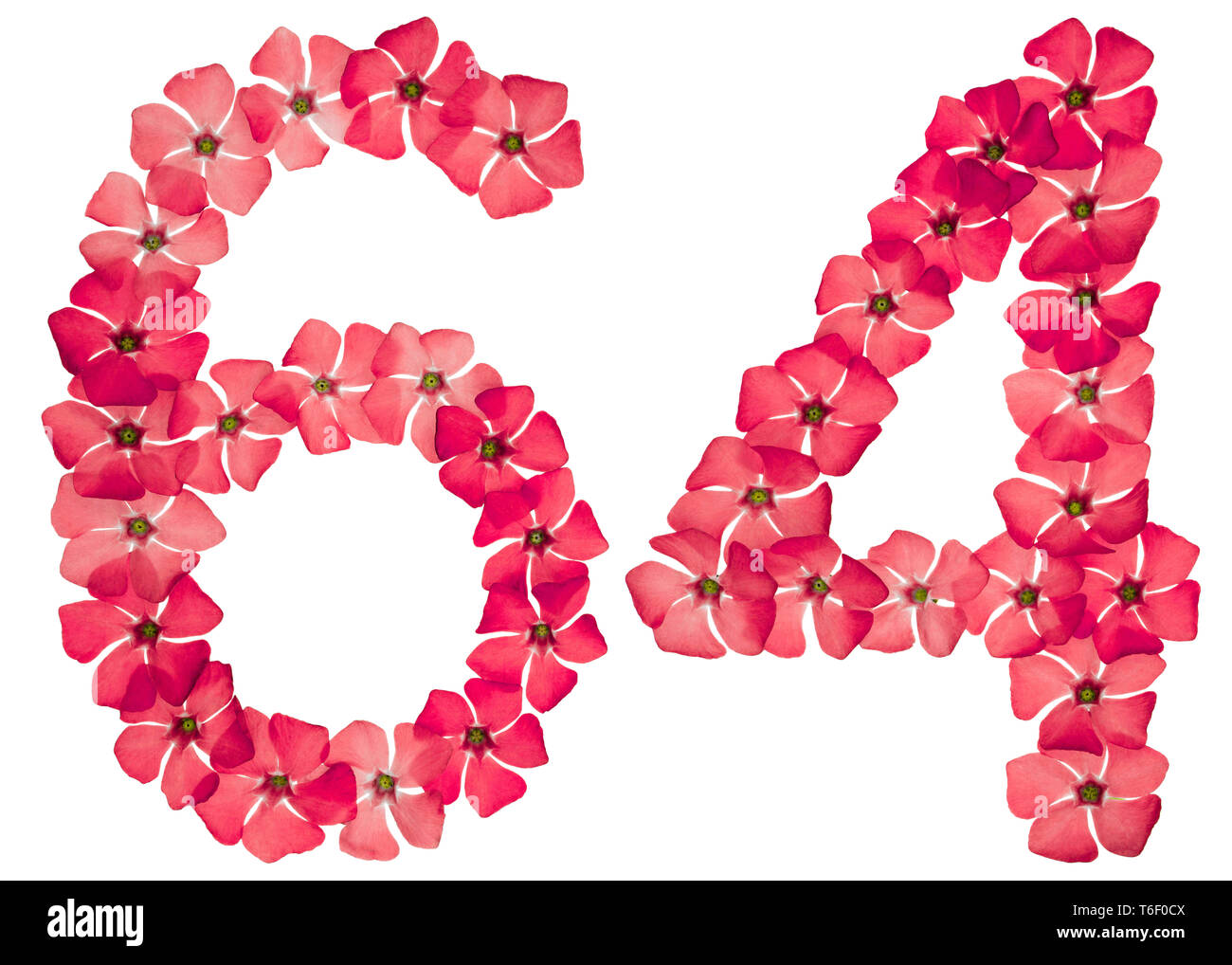 Numeral 64, sixty four, from natural red flowers of periwinkle ...