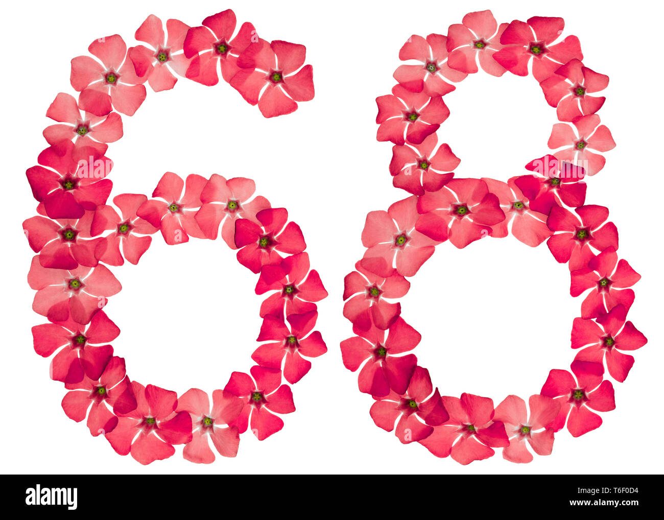 Numeral 68, sixty eight, from natural red flowers of periwinkle ...