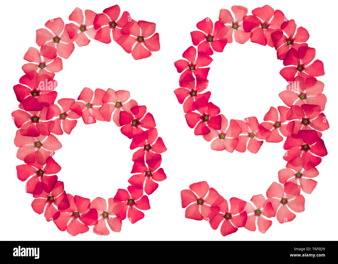 Numeral 69, sixty nine, from natural red flowers of periwinkle ...