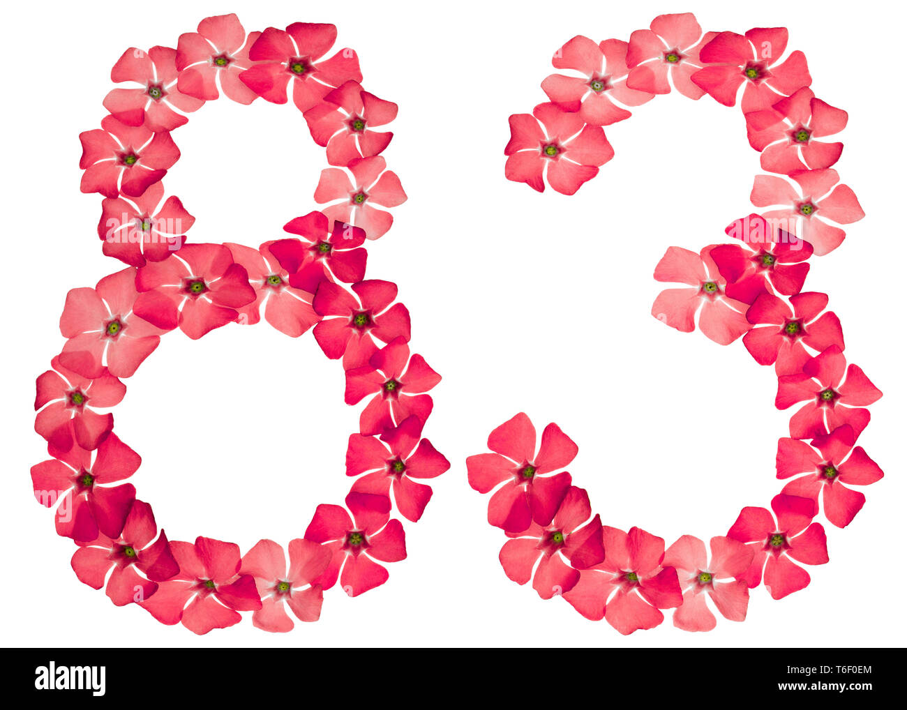 Numeral 83, eighty three, from natural red flowers of periwinkle ...