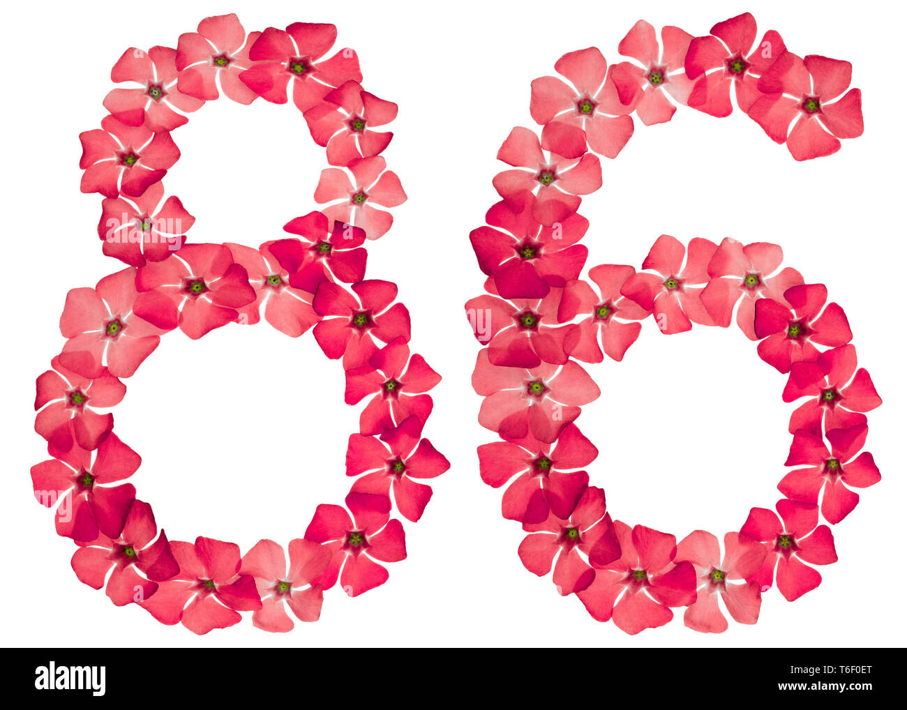 Numeral 86, eighty six, from natural red flowers of periwinkle ...