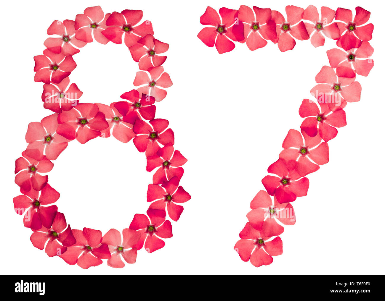 Numeral 87, eighty seven, from natural red flowers of periwinkle ...