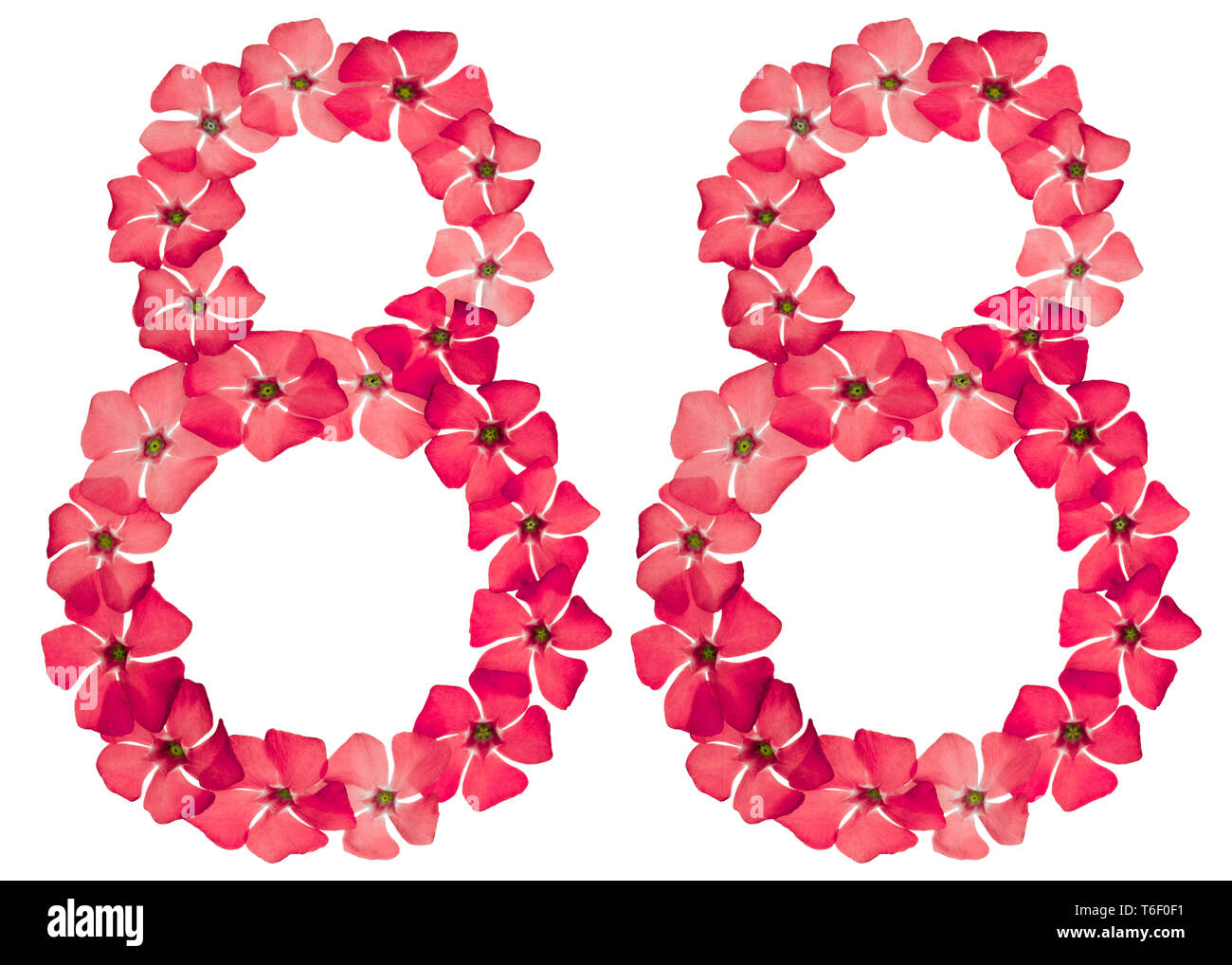 Numeral 88, eighty eight, from natural red flowers of periwinkle ...