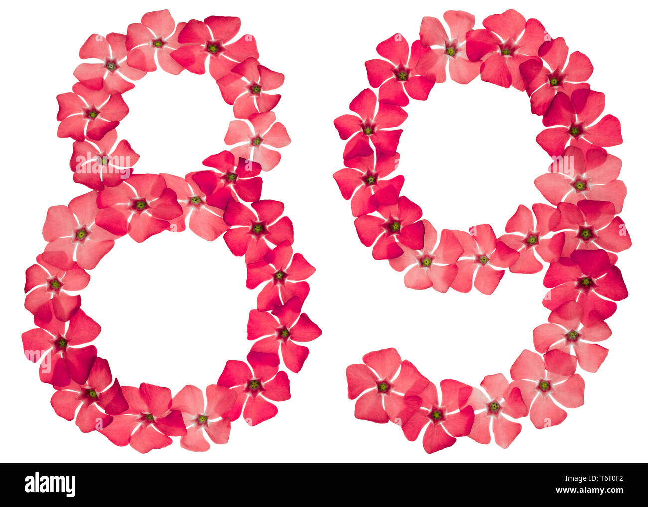 Numeral 89, eighty nine, from natural red flowers of periwinkle ...