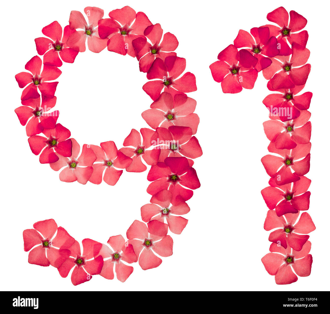 Numeral 91, ninety one, from natural red flowers of periwinkle, isolated on white background ...