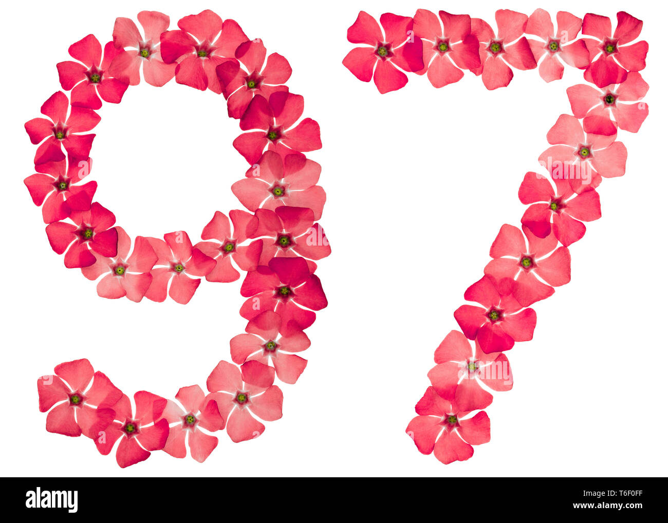Numeral 97, ninety seven, from natural red flowers of periwinkle ...