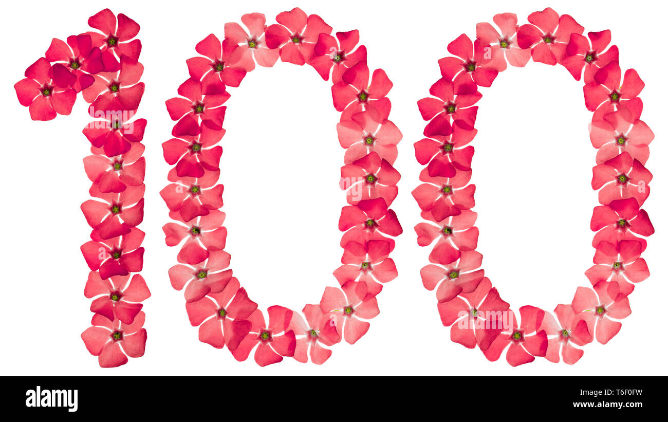 Numeral 100, one hundred, from natural red flowers of periwinkle ...