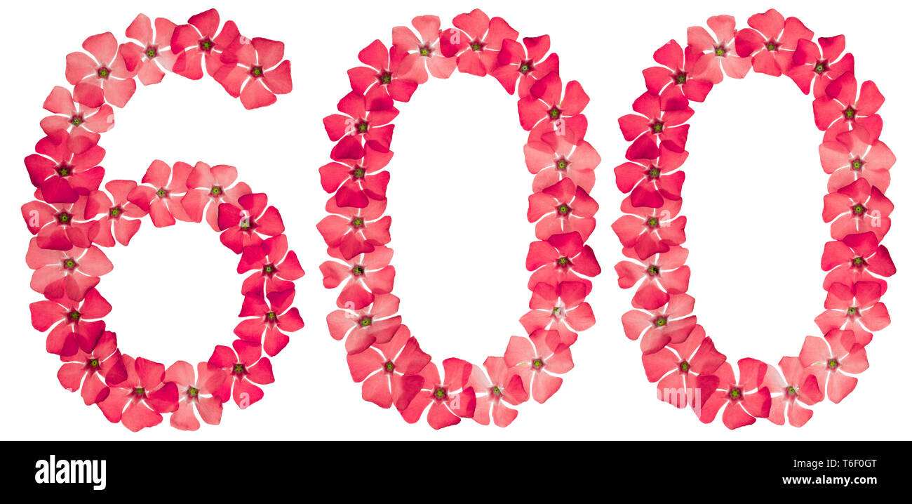 Numeral 600, six hundred, from natural red flowers of periwinkle ...