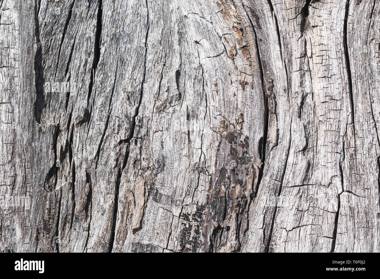 Rustic gray wood background with structural effect Stock Photo - Alamy
