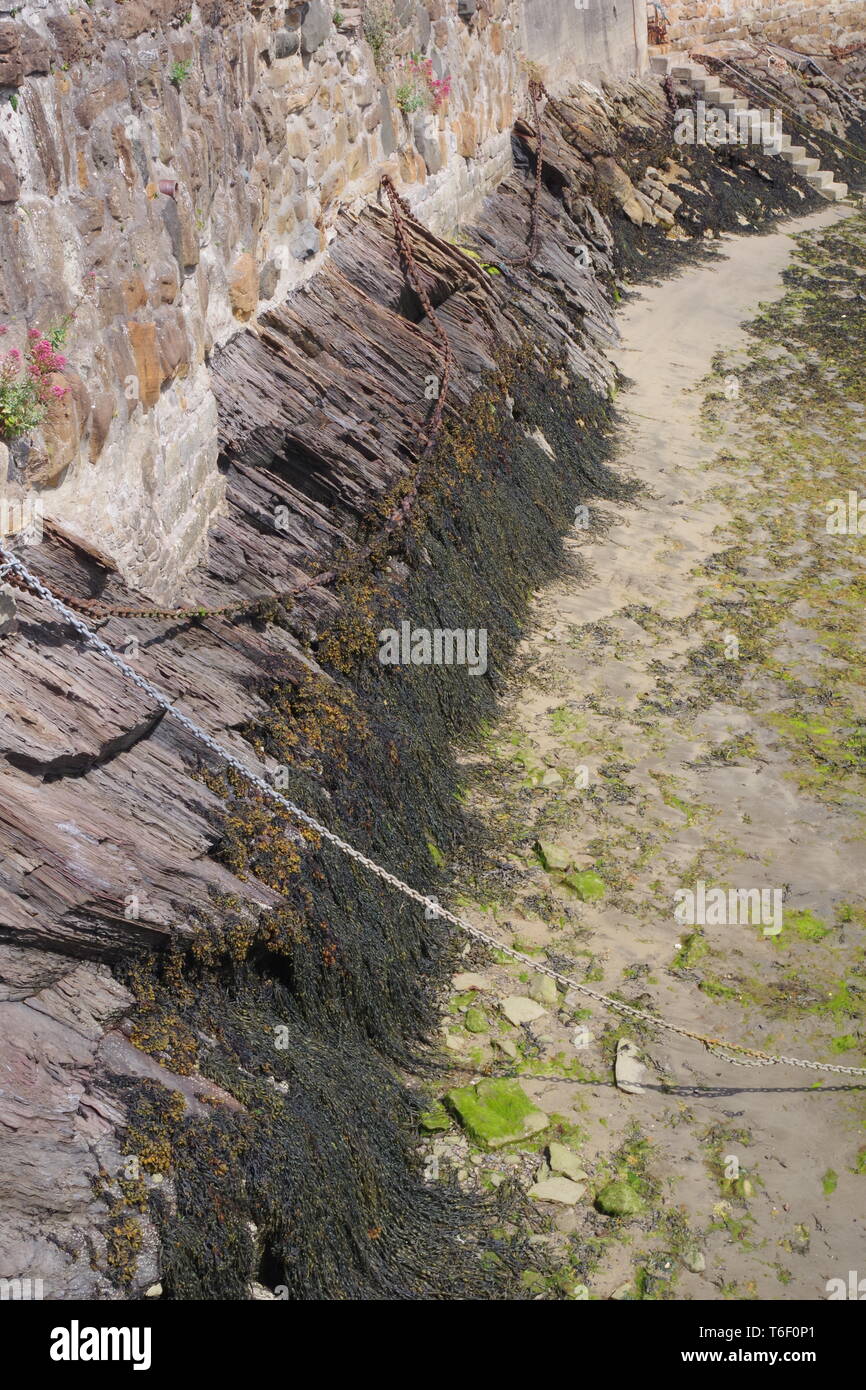 Stone Harbour Wall on top of Carboniferous Sedimentary Geology. St ...