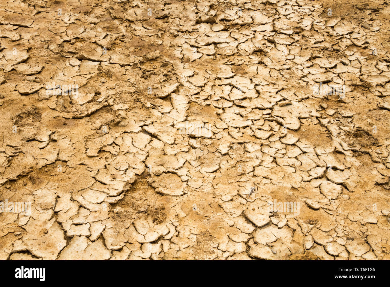 Sand famine hi-res stock photography and images - Alamy