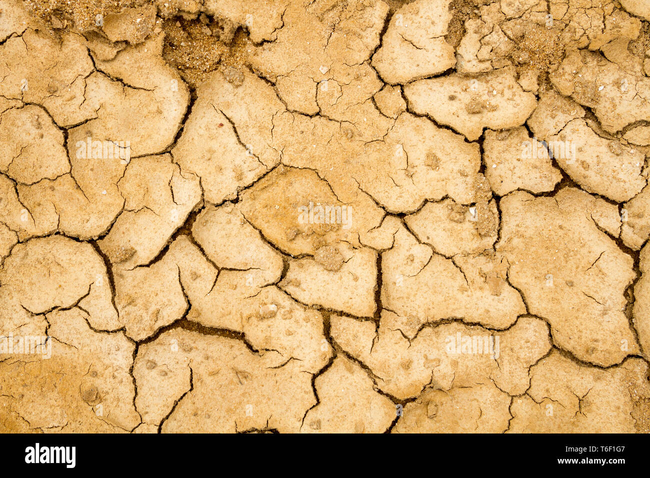 cracked dray sand Stock Photo - Alamy