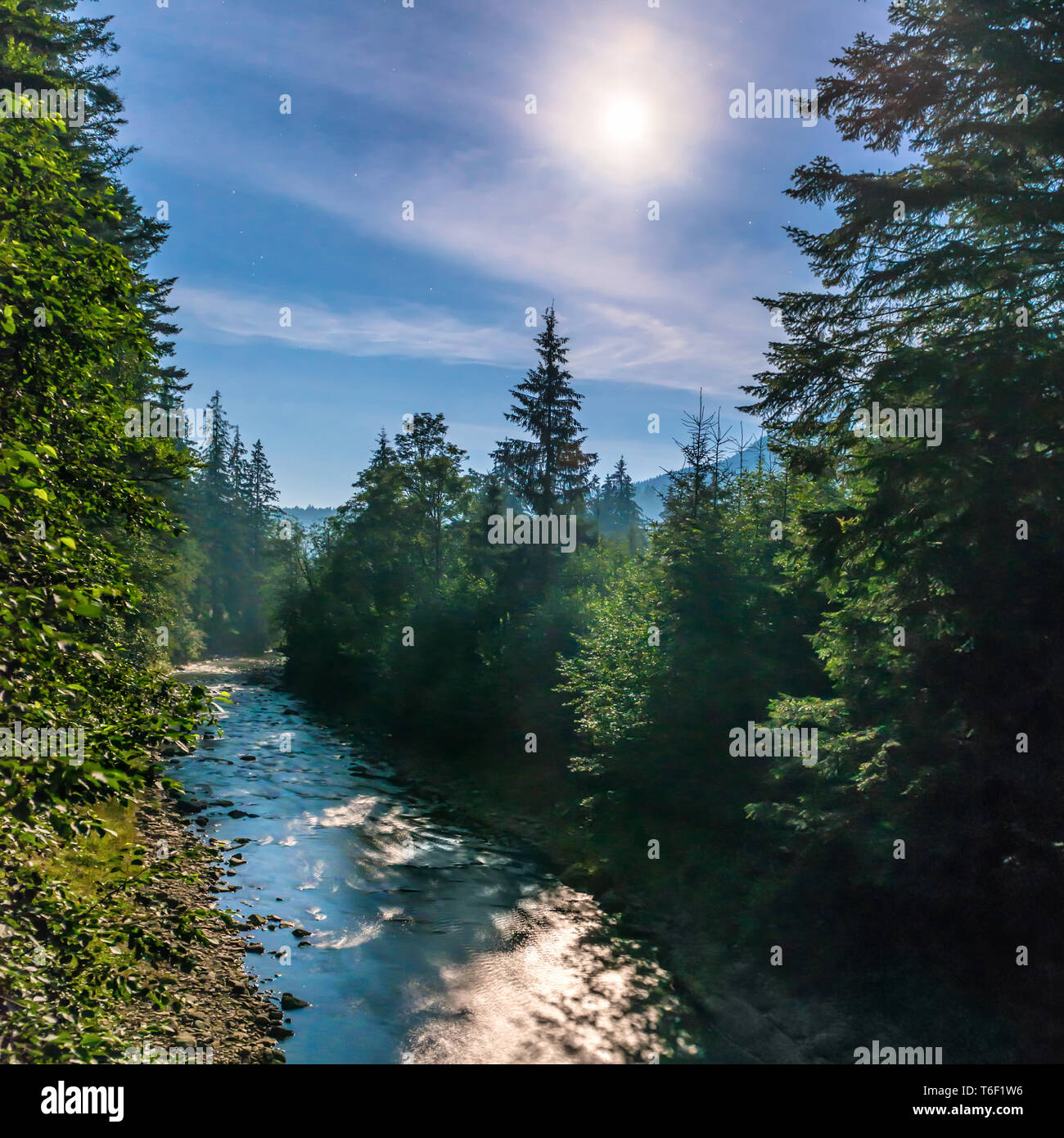 Starry night river park hi-res stock photography and images - Alamy