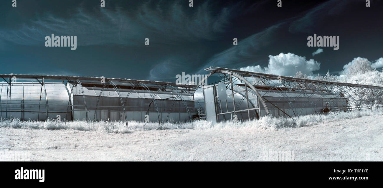 Greenhouse in infrared Stock Photo - Alamy