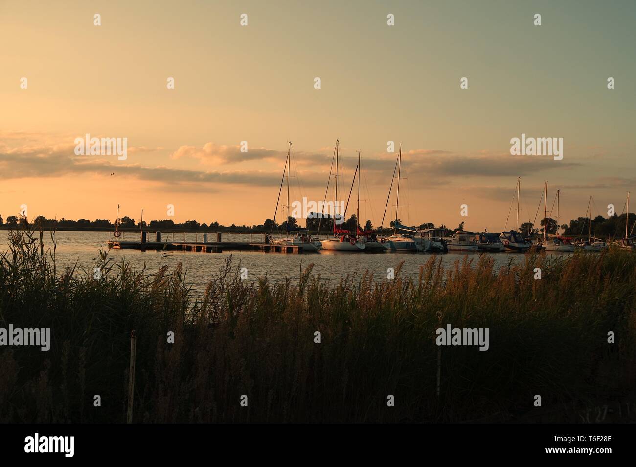 Dammscher see hi-res stock photography and images - Alamy