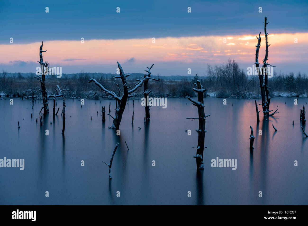 Dusky marsh hi-res stock photography and images - Alamy