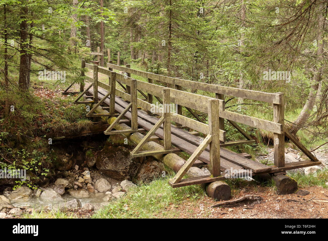 an old wooden bridge in the forest Stock Photo - Alamy