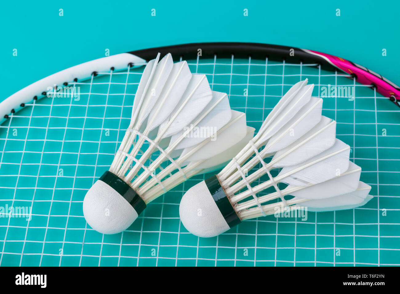 Badminton shuttlecocks and racket on green background Stock Photo - Alamy