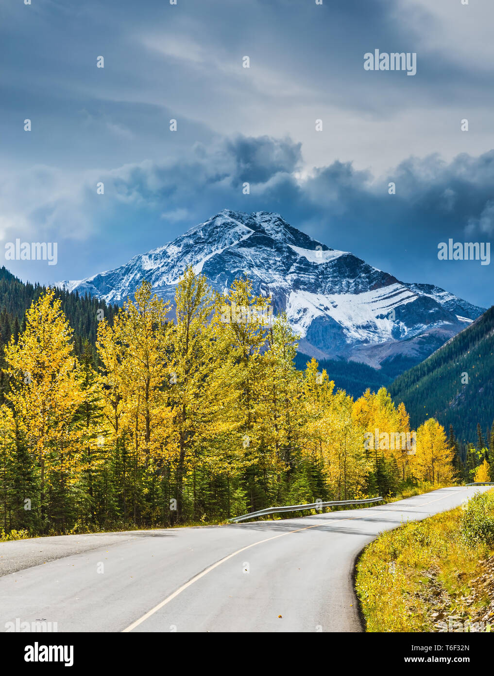 The asphalt road Stock Photo - Alamy