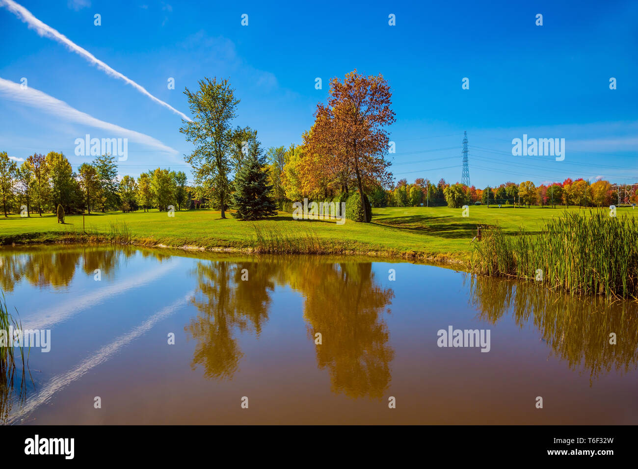 The pond with a clay bottom Stock Photo - Alamy