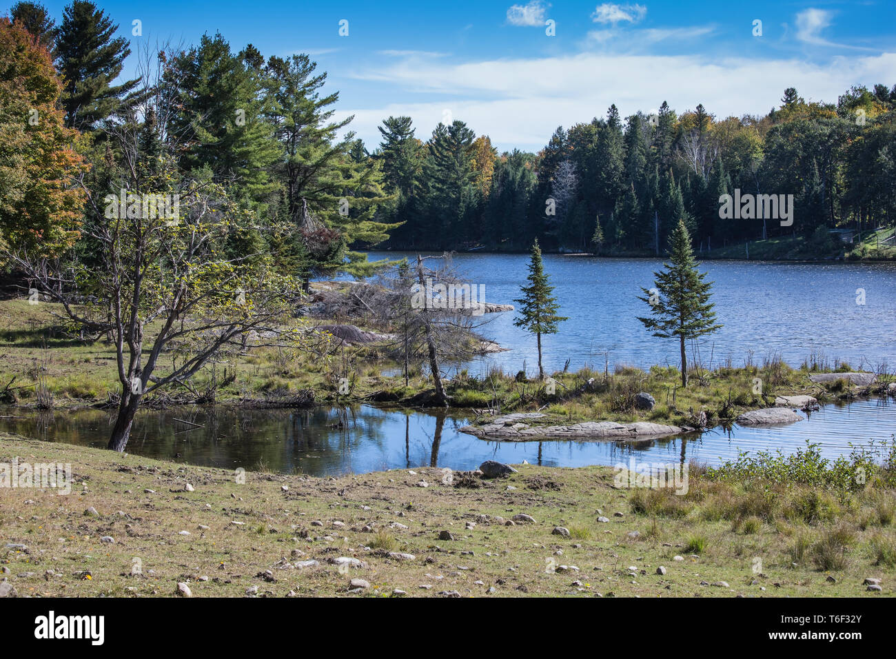 The charming small island on the lake Stock Photo - Alamy