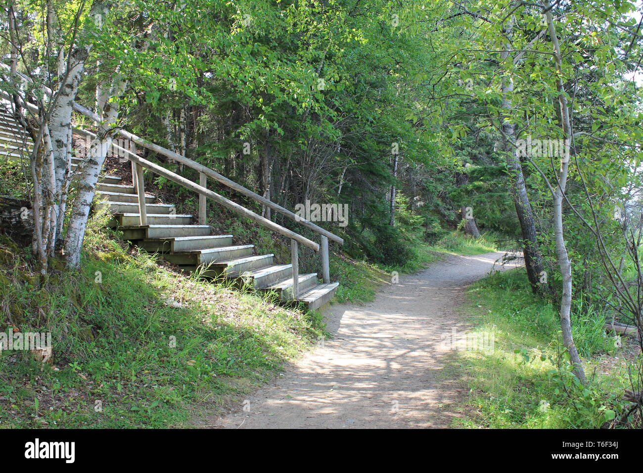 Follow the trail hi-res stock photography and images - Alamy