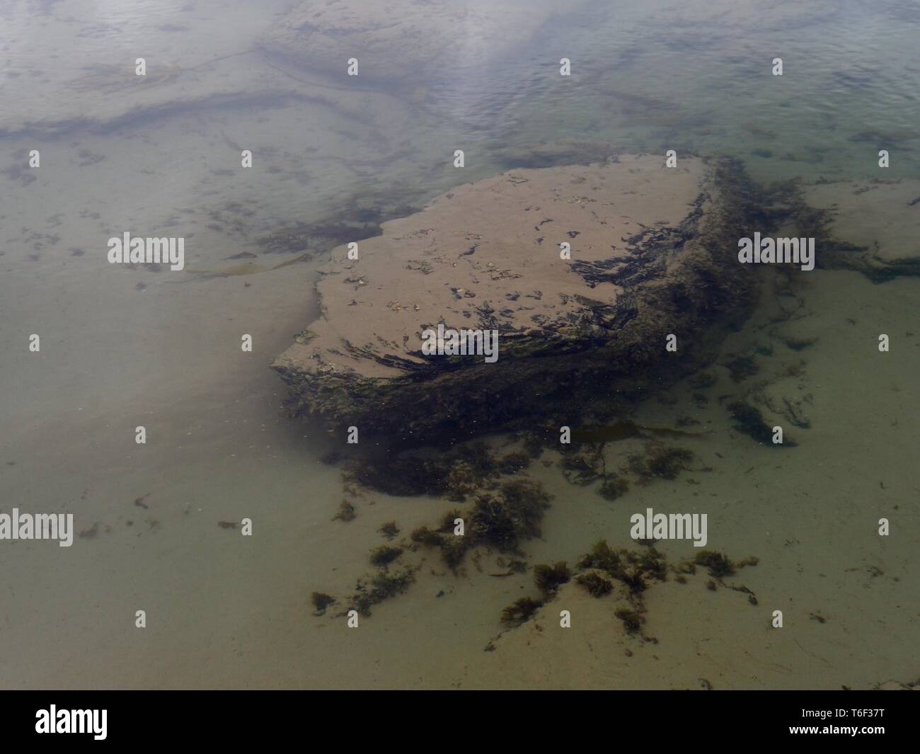 A large sandy rock underwater in a Rock pool, seaweed and sand, at the ...