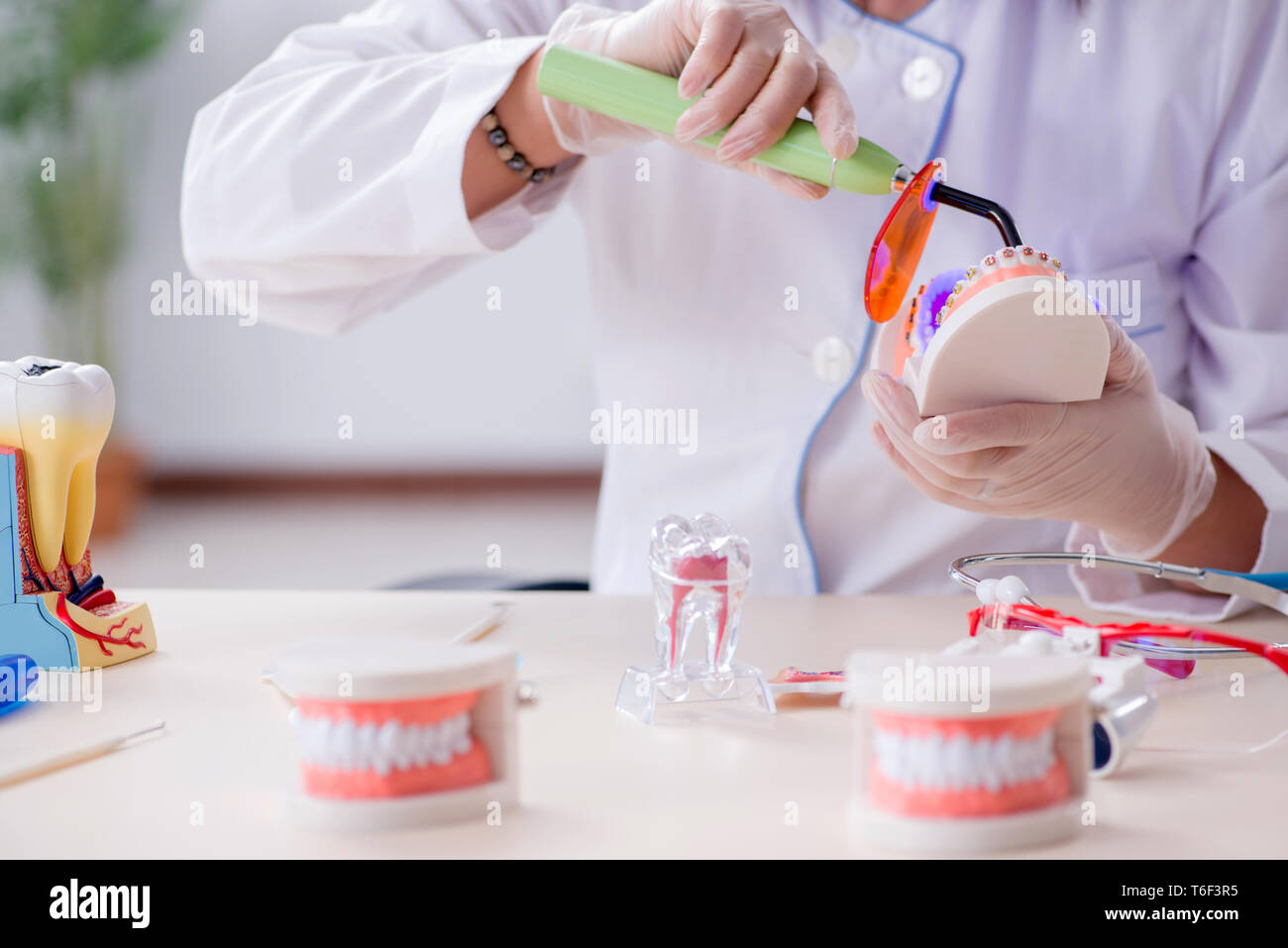 Woman dentist working on teeth implant Stock Photo - Alamy