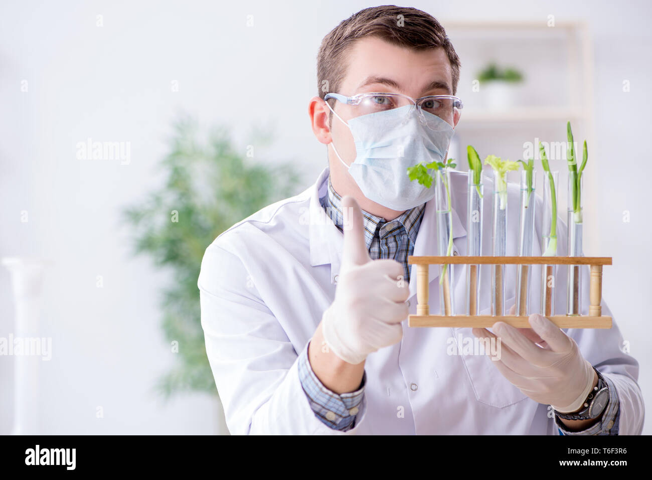 Male biochemist working in the lab on plants Stock Photo - Alamy