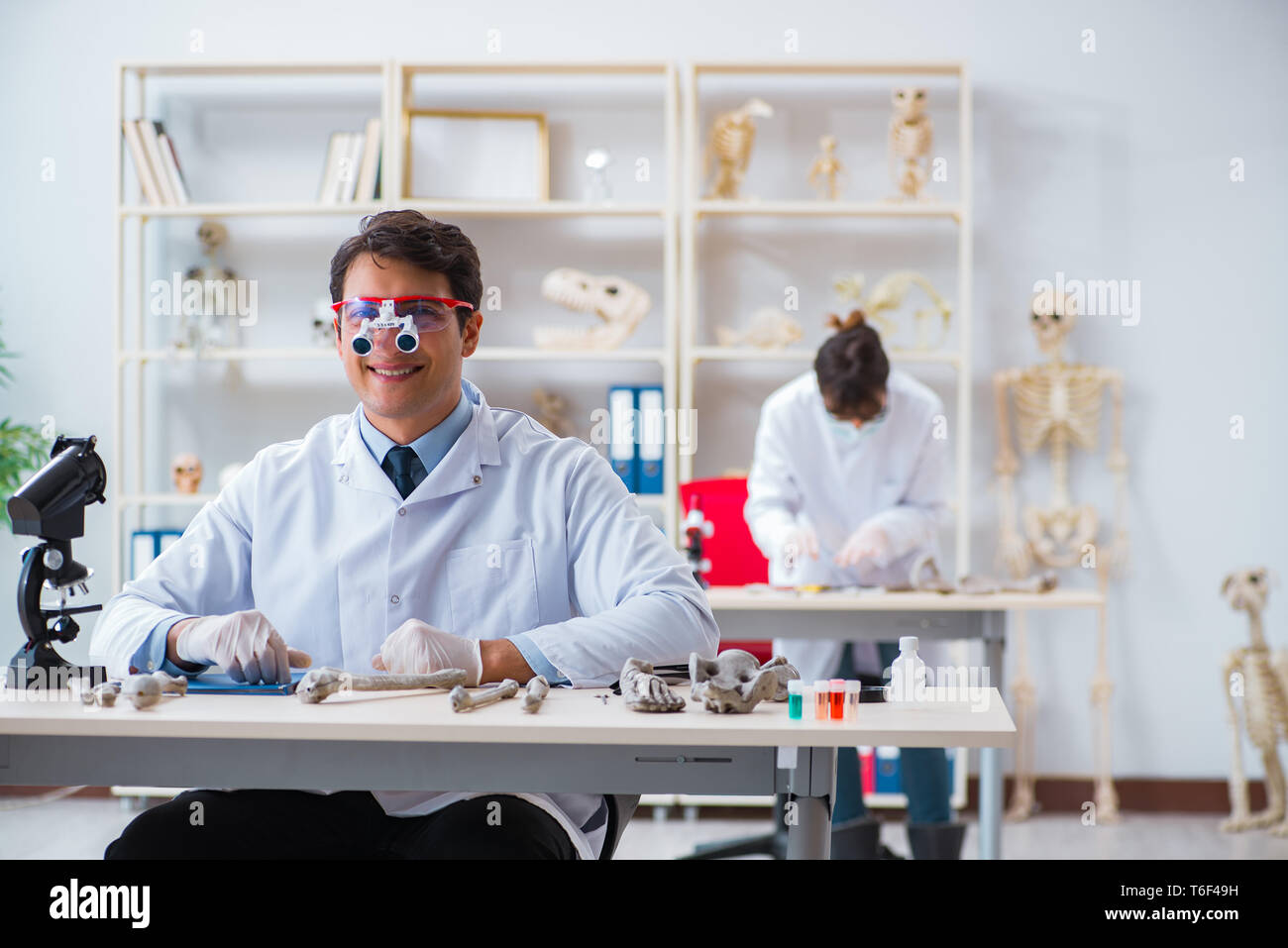 Professor studying human skeleton in lab Stock Photo - Alamy