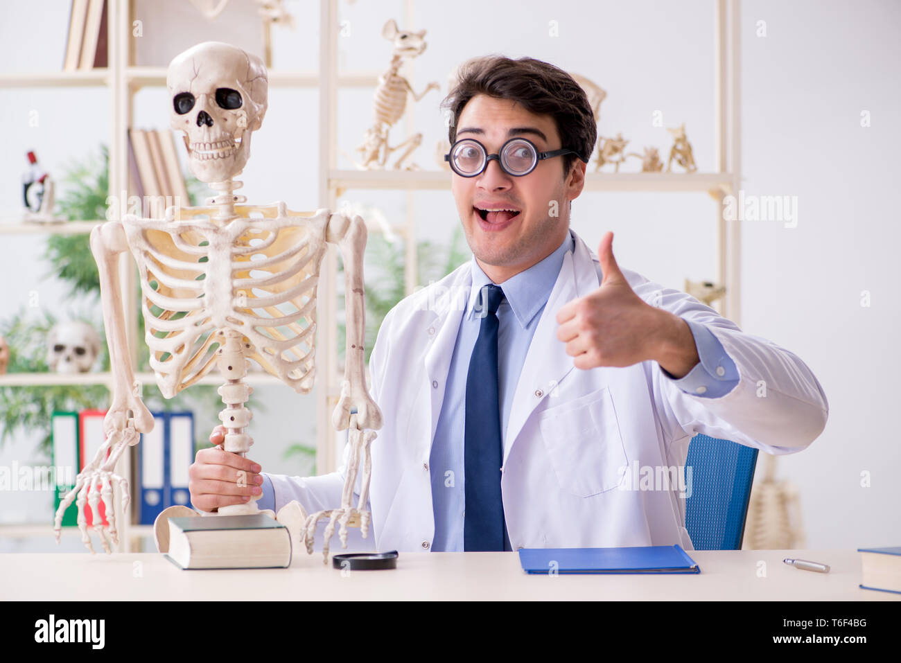 Academic professor studying human skull hi-res stock photography and ...