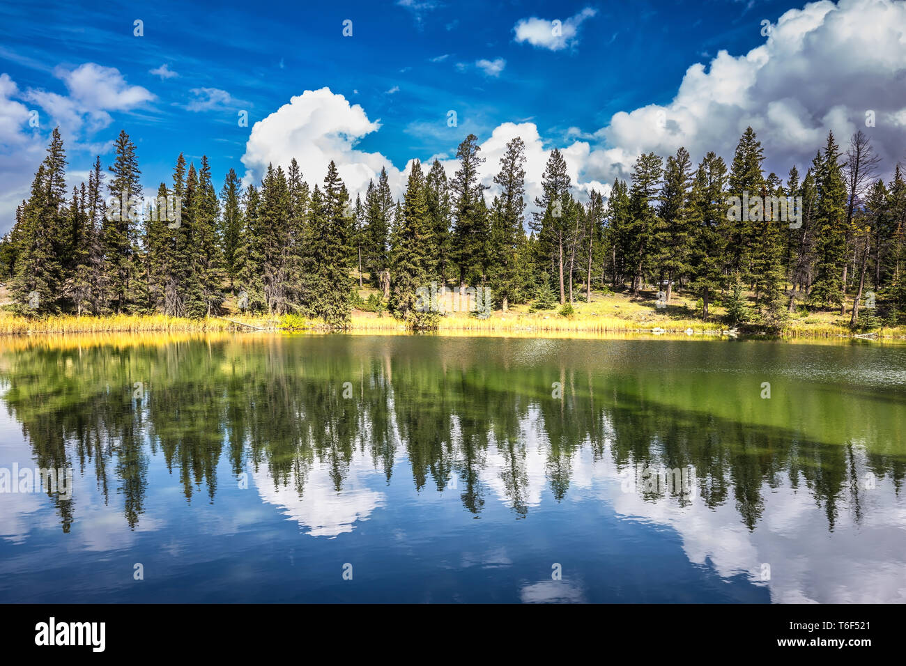 Adorable little lake in warm summer day Stock Photo - Alamy