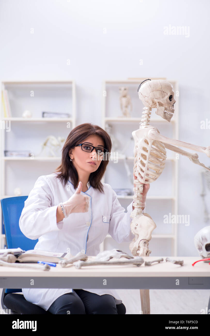 Doctor working in the lab on skeleton Stock Photo - Alamy