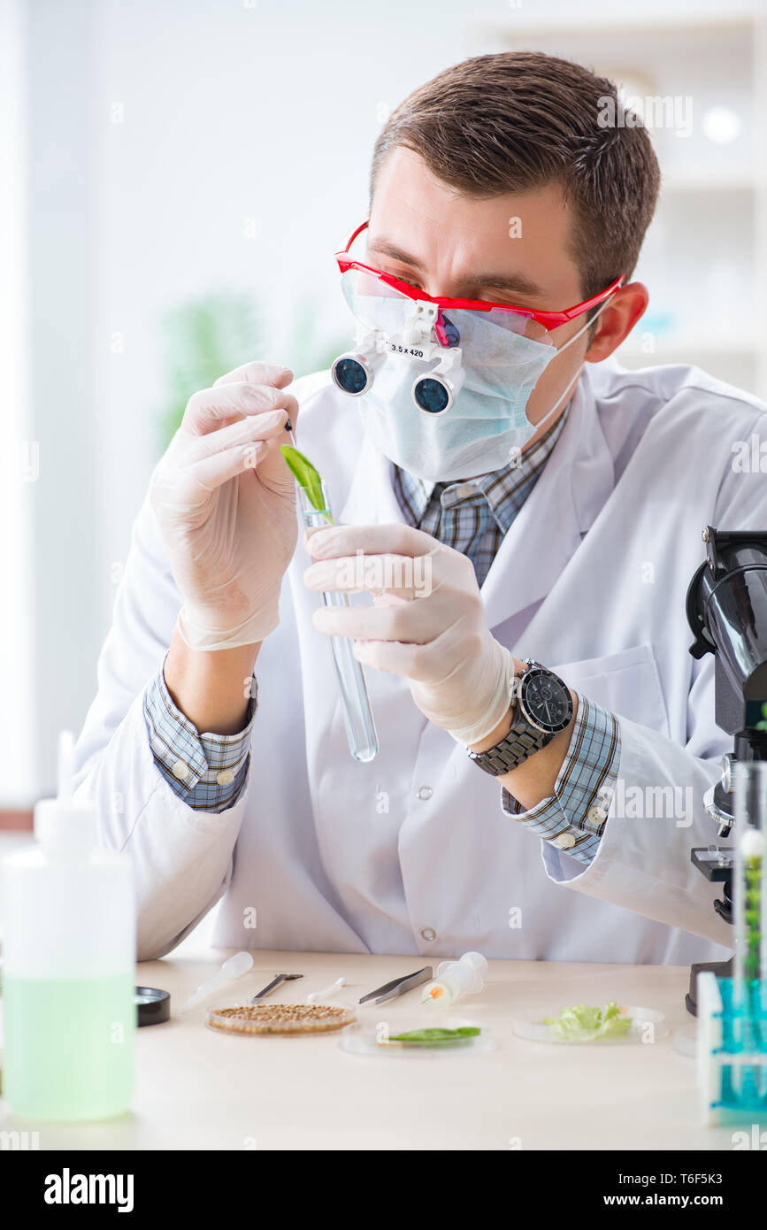 Male biochemist working in the lab on plants Stock Photo - Alamy