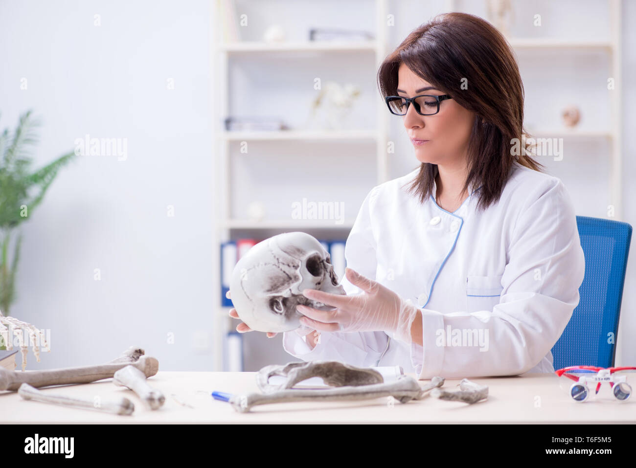 Doctor working in the lab on skeleton Stock Photo - Alamy
