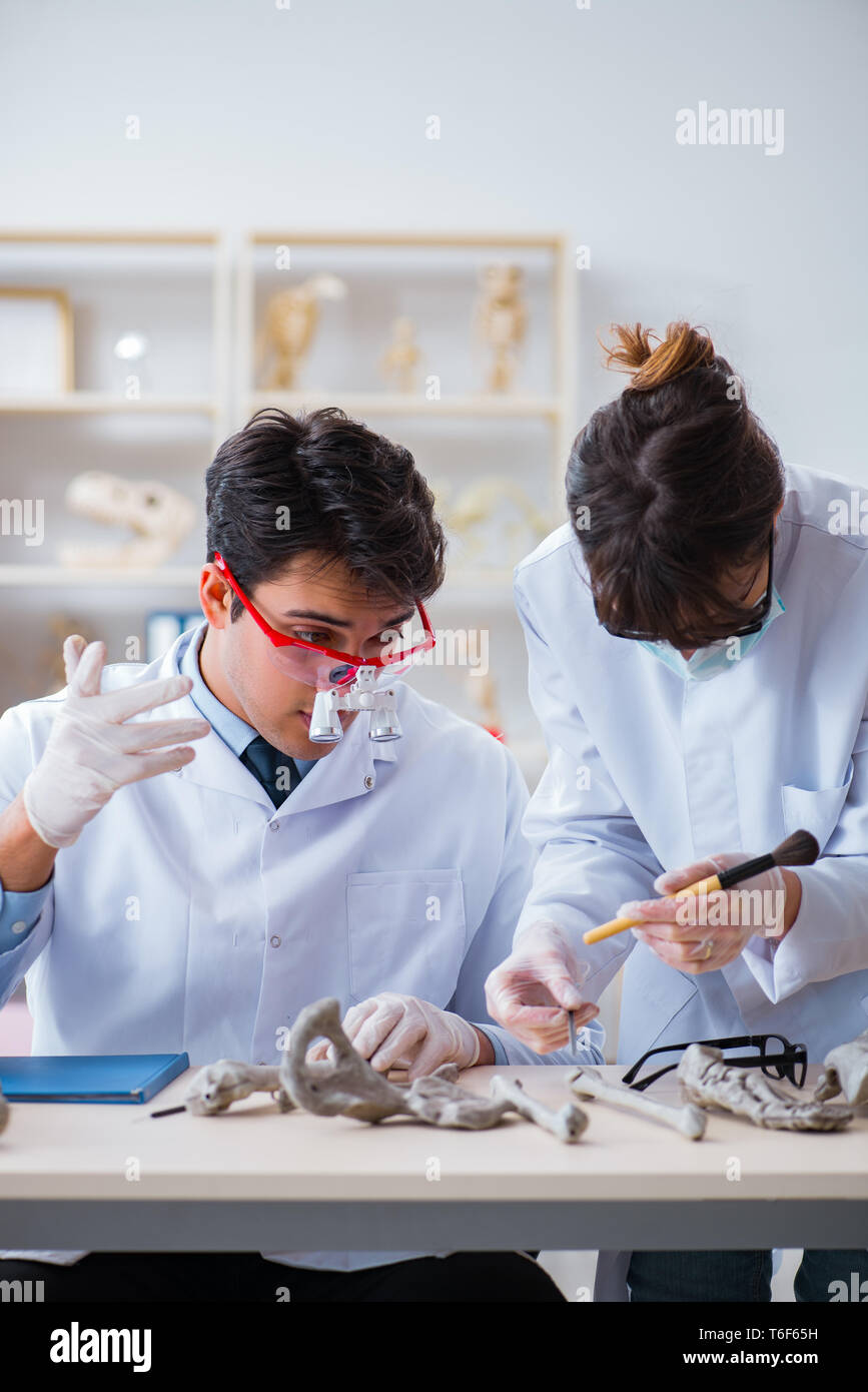 Professor studying human skeleton in lab Stock Photo - Alamy
