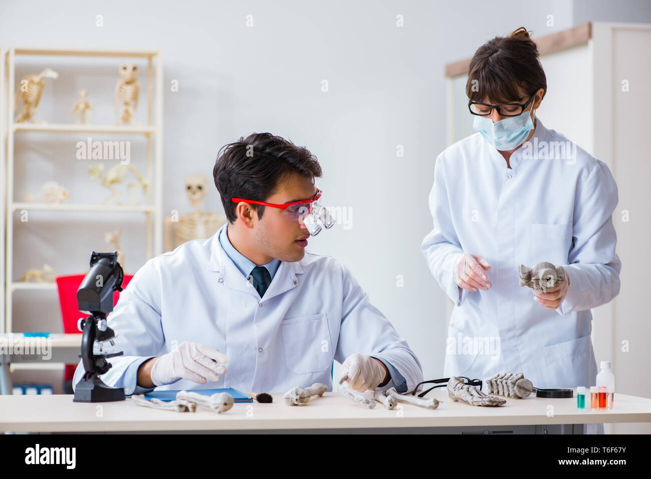 Professor studying human skeleton in lab Stock Photo - Alamy