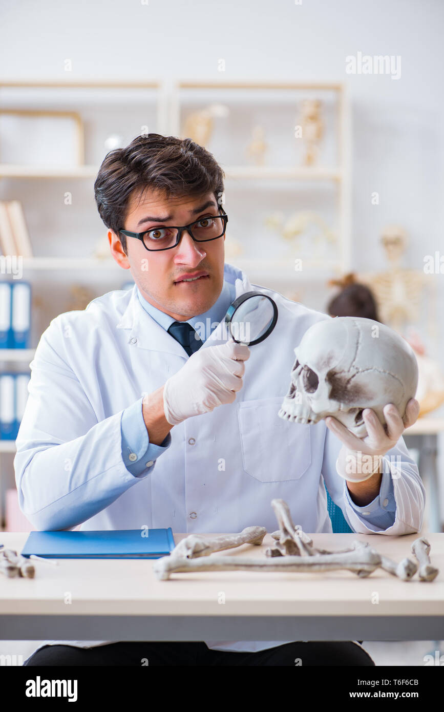 Professor studying human skeleton in lab Stock Photo - Alamy