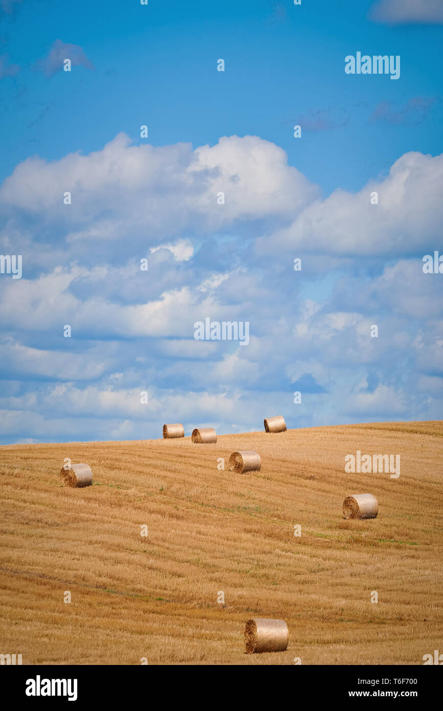 Thatched haystacks hi-res stock photography and images - Alamy
