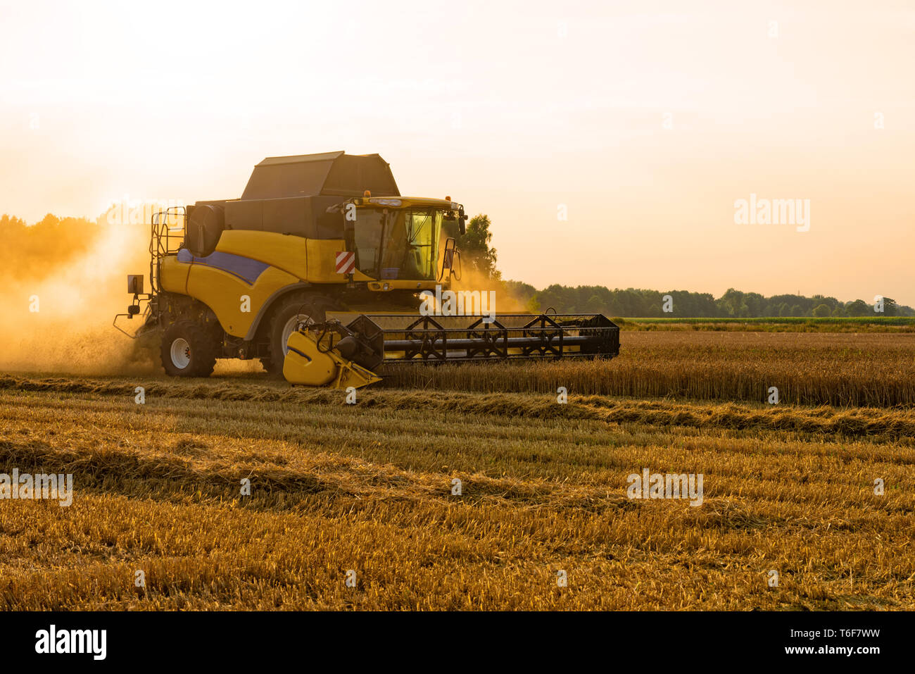 big combine harvester threshing in the sunset Stock Photo - Alamy