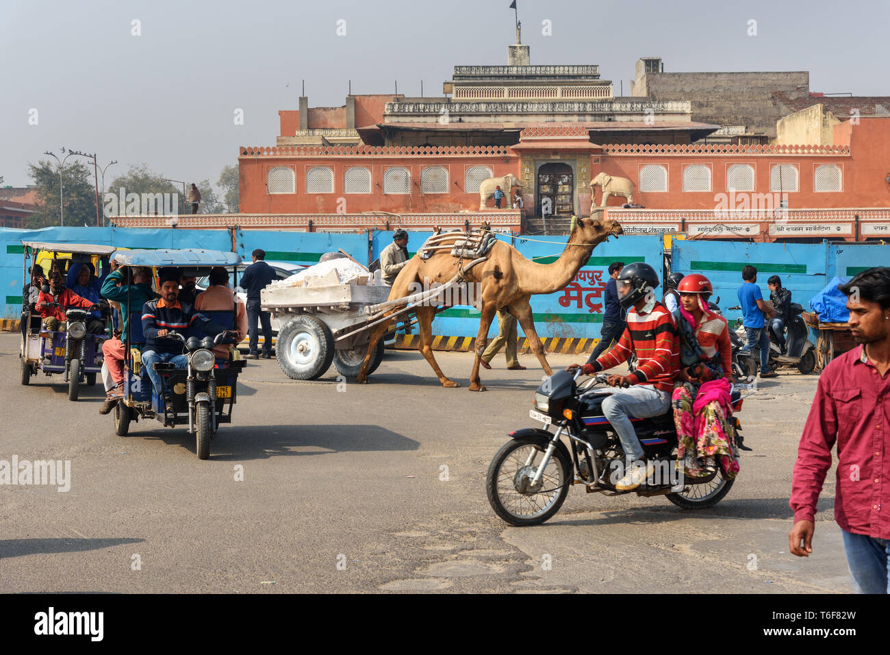 Camel drawn cart hi-res stock photography and images - Alamy