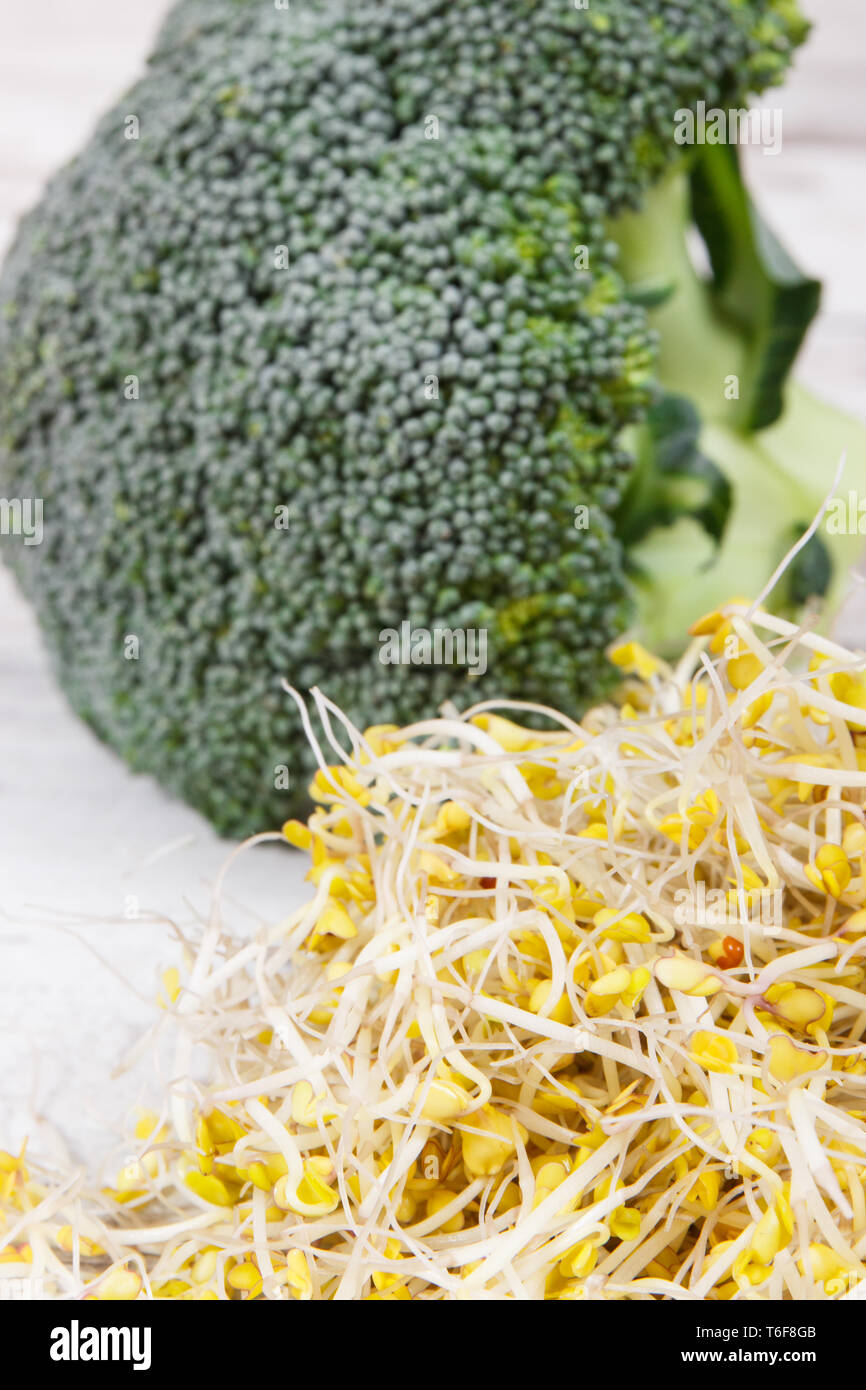 Nutritious broccoli sprouts and fresh vegetable as source natural ...